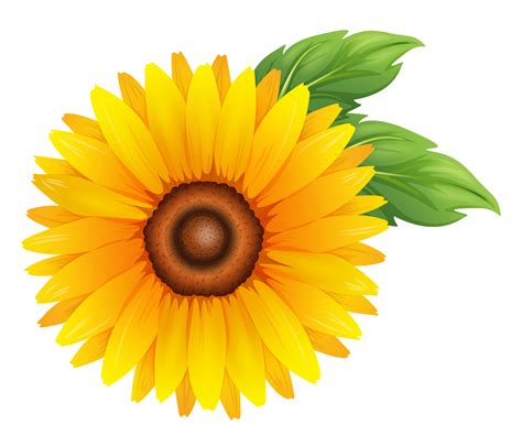 Flower Png Images Free Download Pngfre