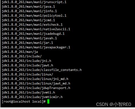 安装vim 编辑器；安装x shell 与x ftp工具；linux配置安装jdk、tomcat服务器、mysql数据库 xshell服务器