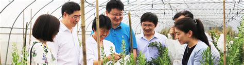 Shanghai Normal University