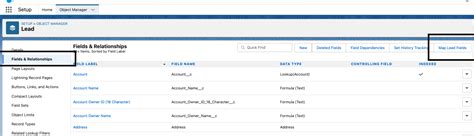 lead conversion field mappings in salesforce