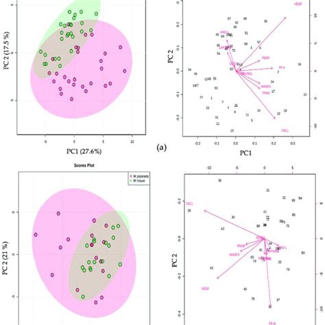 Principal Component Analysis Pca The Pca Shows The Clustering