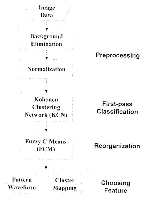 Data Flow Of The Model Free Fmri Analysis Method Cascading Kohonen