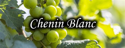 Chenin Blanc