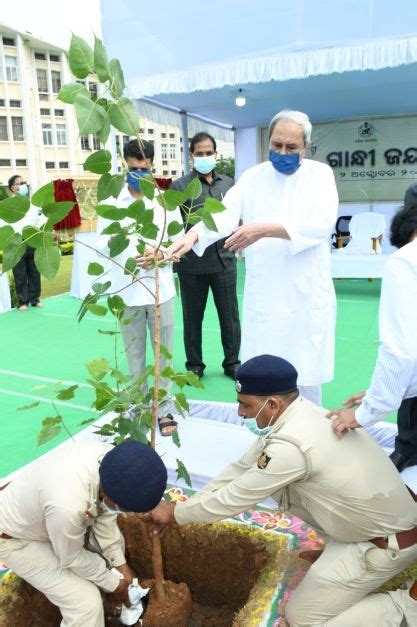 Naveen Plants Peepal Sapling In Bhubaneswar On Gandhi Jayanti Calls It
