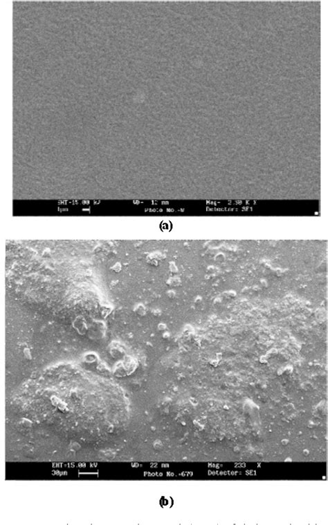 Figure 1 From An Amperometric Cholesterol Biosensor Based On Epoxy Resin Membrane Bound