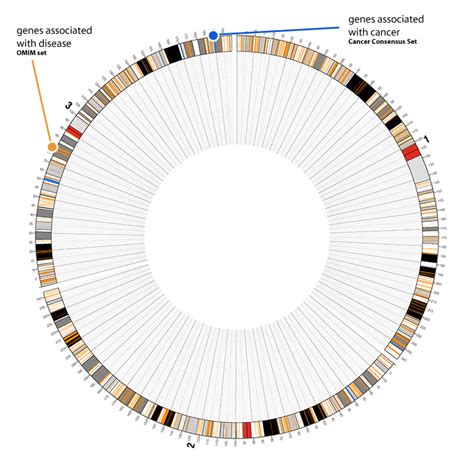 Circos Tutorials Highlights Recipe 1 Ideogram Highlights Circos