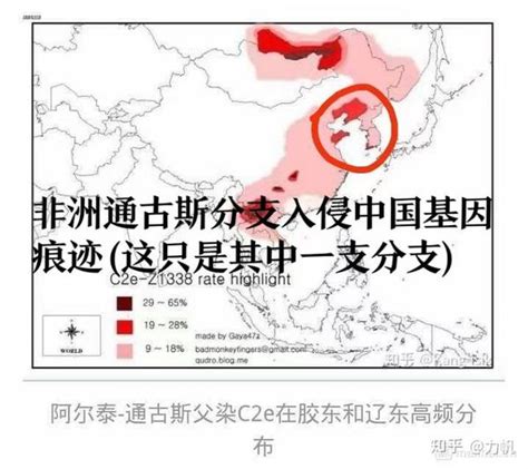 非洲棕色人种鞑靼通古斯c是如何屠杀和混血种族替换中亚神族基因 知乎