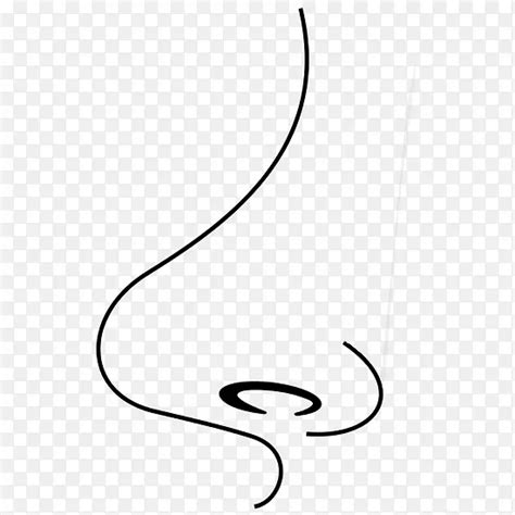 人物侧面鼻子速写图png图片素材下载 图片编号yxjnzxpl 免抠素材网