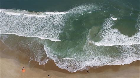 How To Escape A Rip Current Fox 51 Gainesville