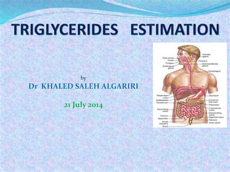 Triglyceride Estimation Pptx
