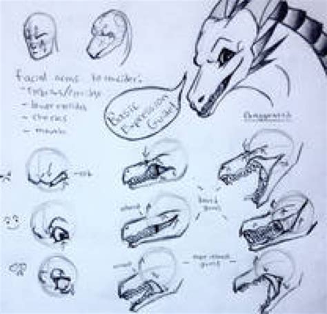 Tutorial Basic Dragon Expressions By Mollish On Deviantart How To