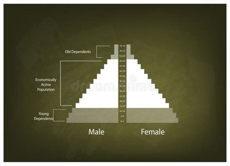 Detail Of Population Pyramids Graphs Depend On Age And Sex Stock Vector