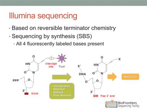 Intro To Illumina Sequencing Pptx