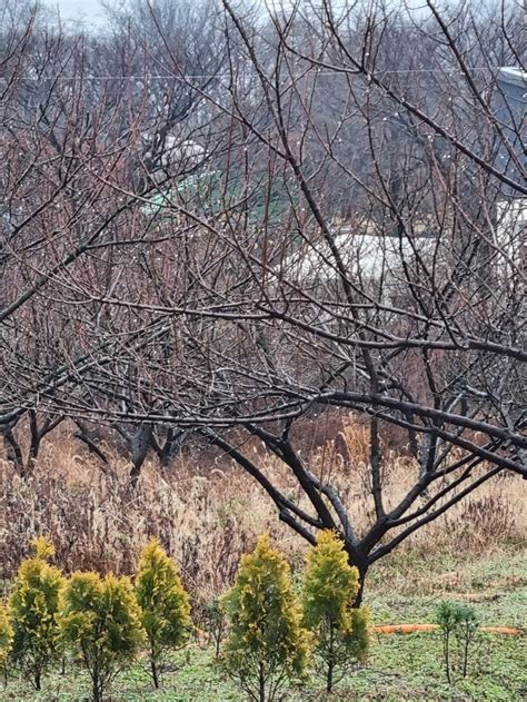 새벽에 쓰는 시 연재