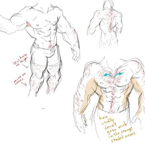 Bara Tutorial Human Figure Drawing Figure Drawing Drawings