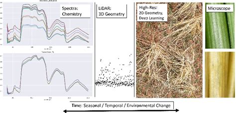 Figure 1 From Ongoing Collection Of Hyperspectral Lidar And Growth Stage Fundamental
