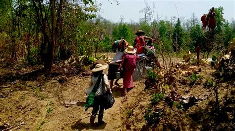 ပင်လည်ဘူးမြို့ပေါ် တိုက်ပွဲများကြောင့် မြို့လုံးကျွတ်နီးပါး စစ်ဘေးရှောင်နေရ