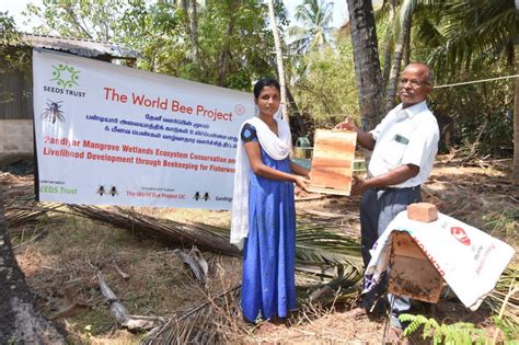 Gallery Examples World Bee Project