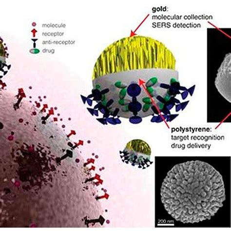 Overview Of Production Approaches Of Janus Particles A Modification Download Scientific