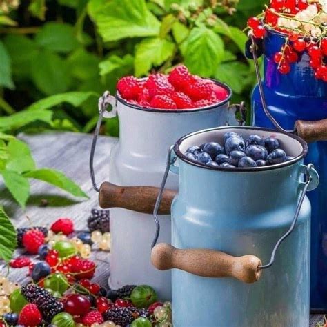 ნატურალური სოფლის ნობათის ყიდვა გაყიდვა