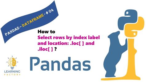 How To Select Rows By Index Label And Location Loc And Iloc Youtube