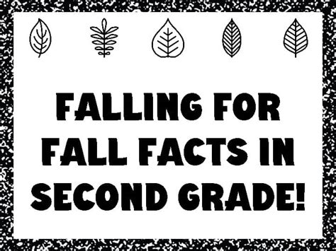 Falling For Fall Facts In Second Grade Fall Leaves Bulletin Board Kit