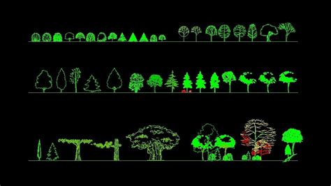 Various Types Of Trees Plants Front View Elevation 2d Dwg Block For Autocad • Designs Cad