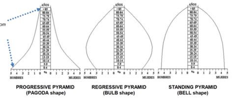Static Demography Quizlet