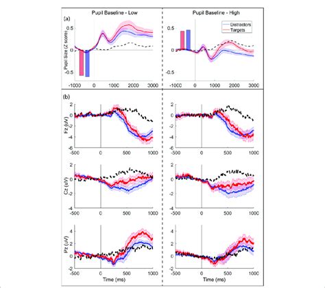 Pupil Dilation And Eeg Event Related Potential Erp Results Grand Download Scientific Diagram