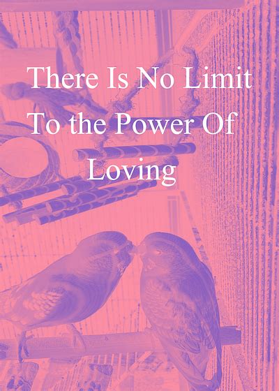 Gradient Mapping Designs Themes Templates And Downloadable Graphic Elements On Dribbble