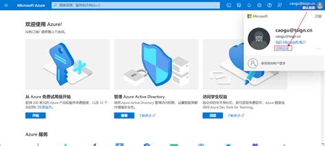 微软microsoft Entra Id（原azure Ad） Saml20 E签宝