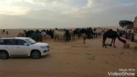 ابن لبدان Youtube