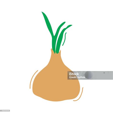 만화 양파 손으로 그린 귀여운 야채 낙서 캐릭터 간단한 아이콘 재미있는 어린이 음식 아기 순진한 벡터 일러스트 레이 션 0명에 대한 스톡 벡터 아트 및 기타 이미지 Istock