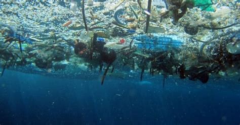 16 Photos Alarmantes Où La Pollution Plastique A Envahi Nos Mers Et Océans