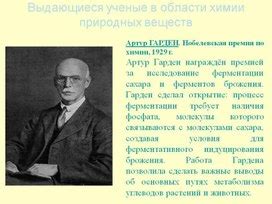 Гарден