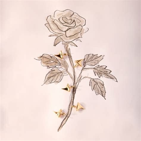 How To Draw A Rose Thorn Out