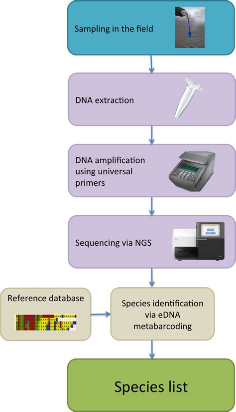 1 Methodology For Analysis Using An Edna Metarbacoding Approach