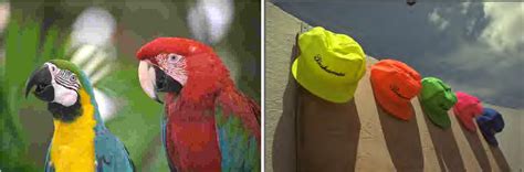 Illustration Of Blocking And Blur Artifacts In A Jpeg And A Jpeg2000 Download Scientific