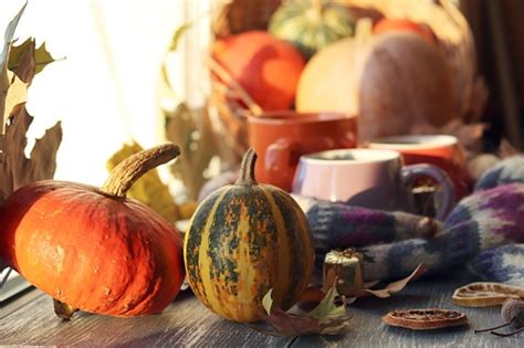 커피 호박 나뭇잎 창 배경에 모직 스카프 가정의 편안함 가족 추수 감사절 가을 시즌의 개념 3 잔 창턱에 대한 스톡 사진 및 기타 이미지 Istock