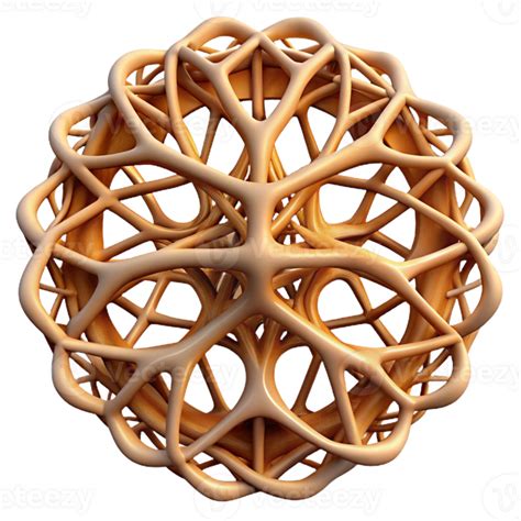 Dramatic Contemporary Intricate Root System Network High Quality 57756551 Png