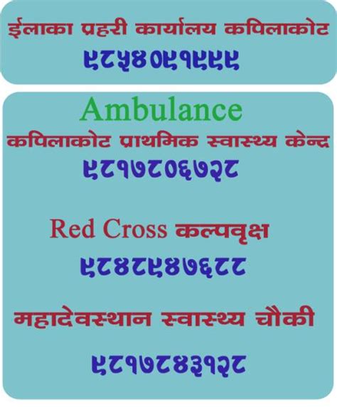 सम्पत्ति विवरण फाराम मरिण गाउँपालिका