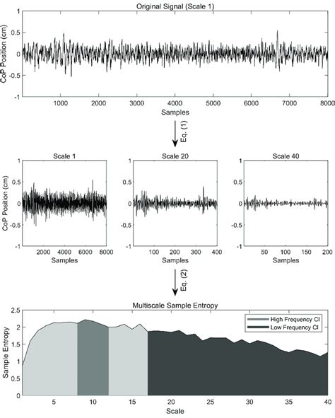 Multiscale Sample Entropy Analysis Performed On One Representative Cop Download Scientific