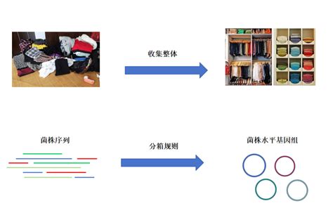 做宏基因组太common？宏基因binning分析让您的文章与众不同！ 知乎