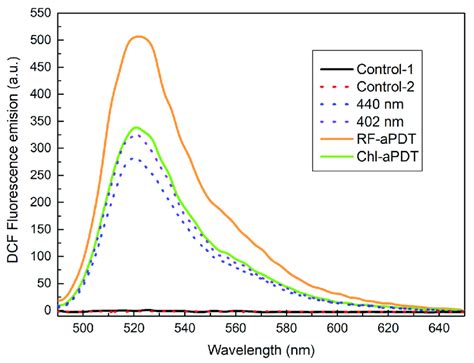 Detection Of Reactive Oxygen Species Ros Activity In A Baumannii Download Scientific Diagram