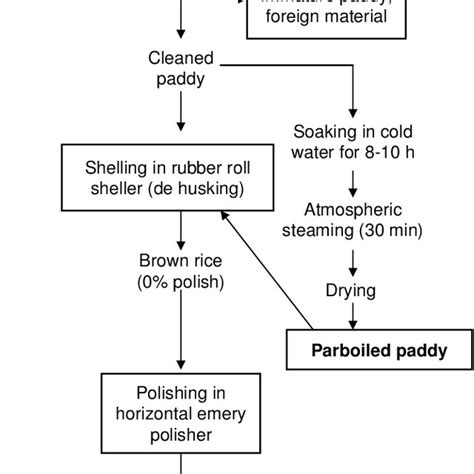 Flow Chart For Rice Milling Download Scientific Diagram