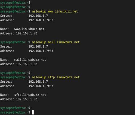 How To Setup Bind Server On Ubuntu 2404