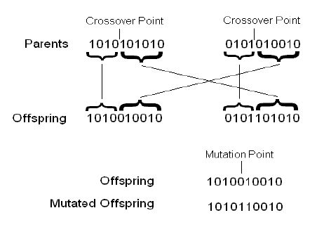 Crossover And Mutation Download Scientific Diagram