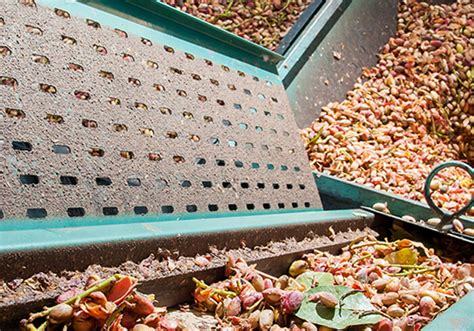 Nut Processing Facility Agilitech Group