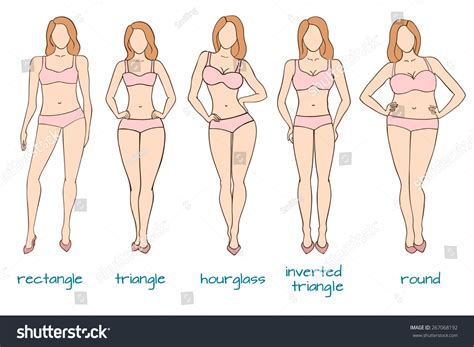 Female Body Types Vector Illustration 267068192 Shutterstock
