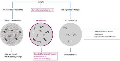 Targeted Microbiome Profiling Predica Diagnostics
